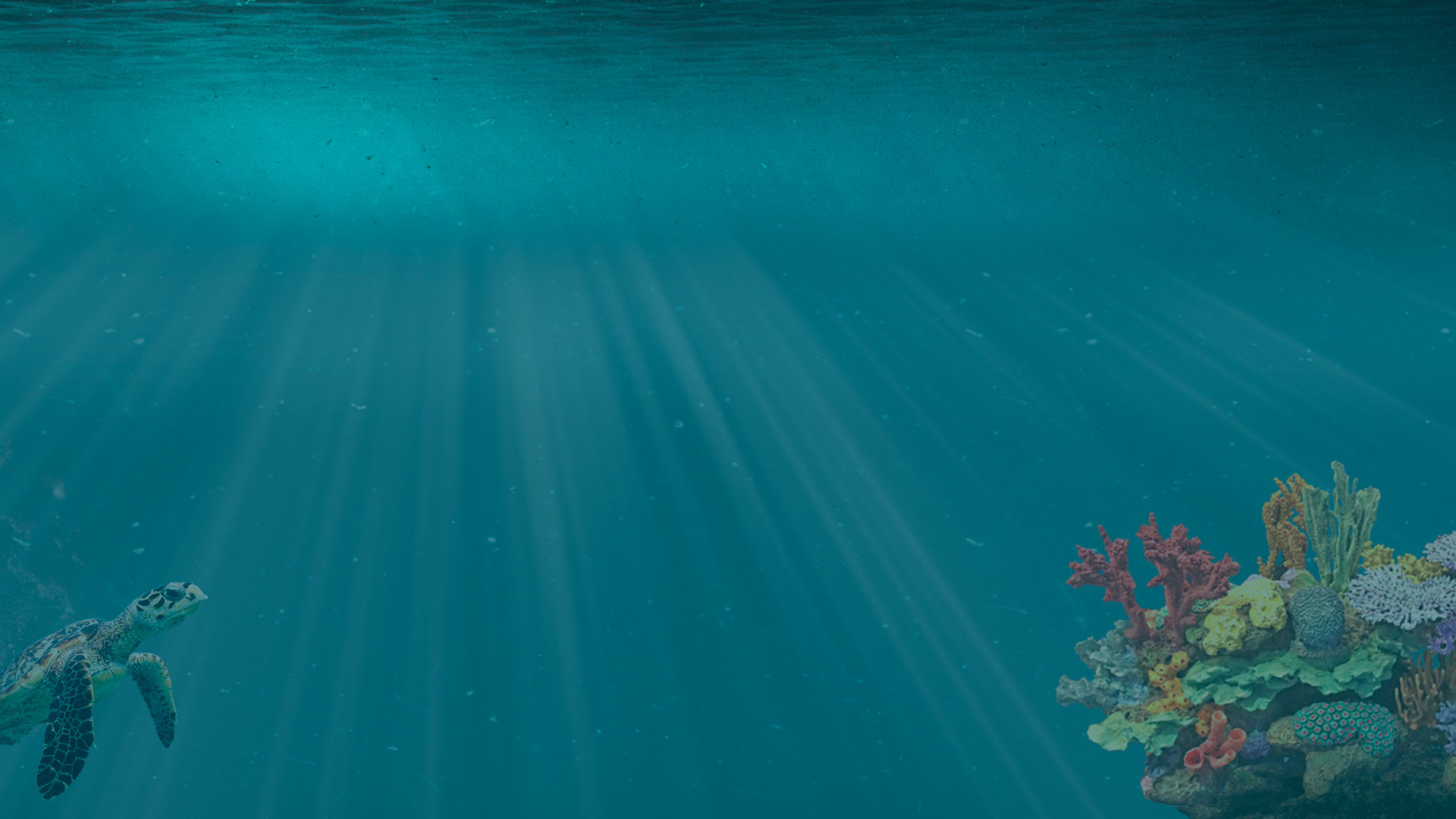 Duik de diepte in - Naturalis Expeditie